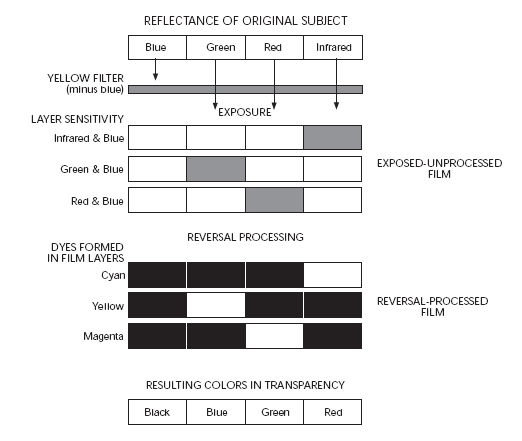 as you can see, in this example the blue light is excluded by a deep ...